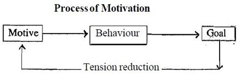Types Of Motives Chapter 9 Motivation And Emotion Ppt Video Online