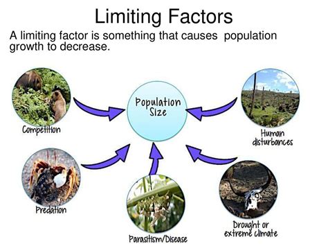 The Term “population” Refers To All The Members Of One Species In One