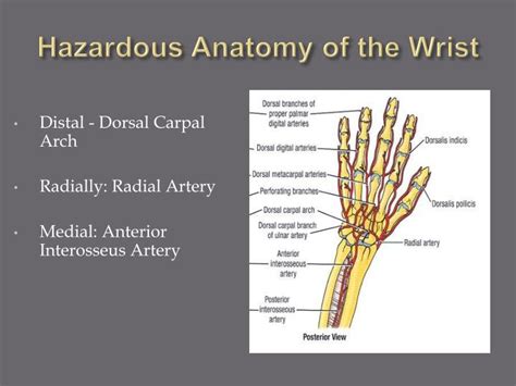 Ppt Arthrocentesis And Joint Injection For The Internist Powerpoint