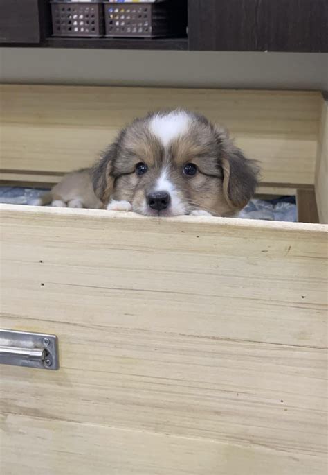 Bubbles Goes Peep R Aww