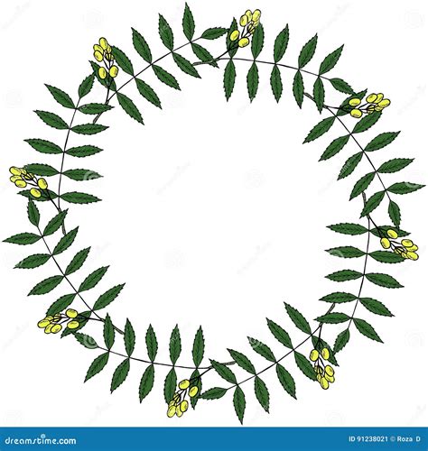 Neem Border Vector Illustration 99140722