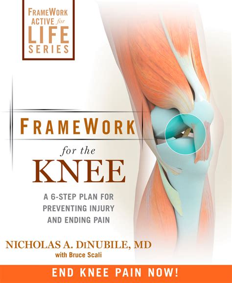 Framework For The Knee By Nicholas A Dinubile Bruce Scali Ebook