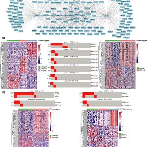 Subtypes Of Tumors With Driver Gene Mutations A The Overview Of