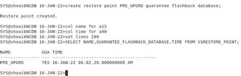 Learnoracle Oracle 12c Databases Upgrade To 19c Command Line