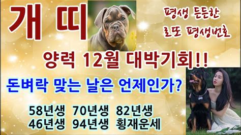 개띠2023양력12월횡재로또운세개띠계묘년운세개띠재물운개띠로또평생번호개띠평생사주개띠횡재운58년46년생70년생82년생94년개띠로또1등개띠궁합개띠횡재개띠