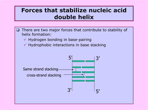 Ppt Dna Protein Structure Function Analysis And Prediction Powerpoint