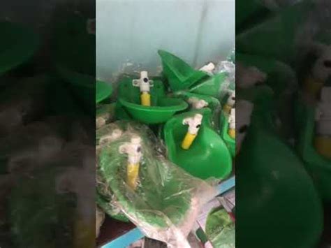 Đá muối liếm cho trâu bò dê YouTube