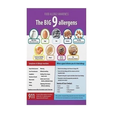 Allergen Awareness Chart Poster Nine Major Food Allergens Safety Guide