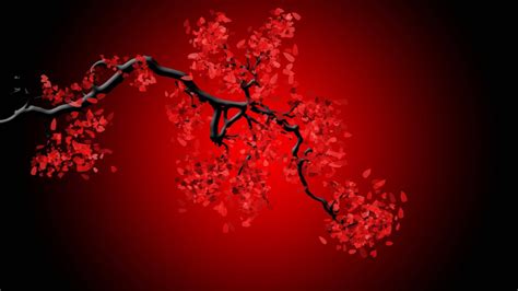 Dark Cherry Blossom Wallpapers Wallpaper Cave