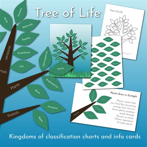 Printable Tree Of Life Kingdom Classification Control Chart And Info