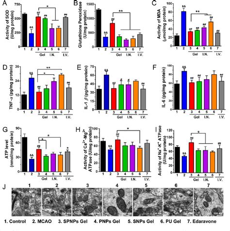 Figure 1 From Mitochondrial Targeted And Ros Responsive Nanocarrier Via Nose To Brain Pathway