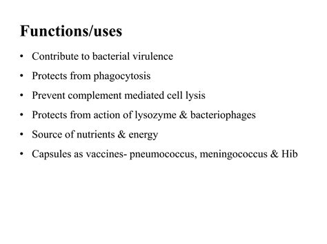 Cell Wall Appendages Pptx