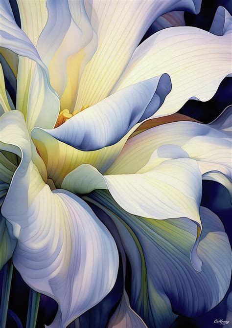 Lily 1 Digital Art By David Calloway Fine Art America