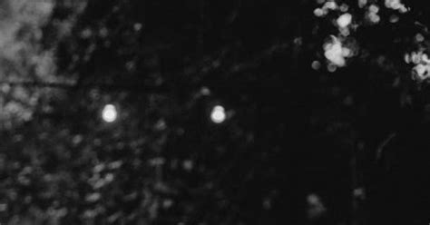 Maja Bogdanović Zajedno Insp