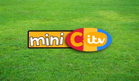 Mini Citv Idea Wiki Fandom