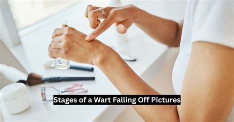 Physical Signs Of High Sex Drive In Females Key Indicators Infomagazines