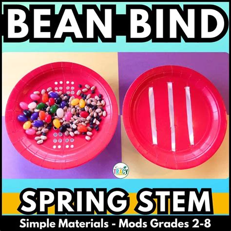 Spring Stem Challenges