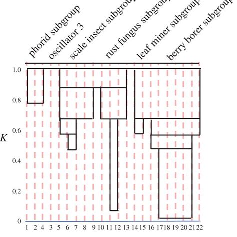 Development Of Synchrony Groups As A Function Of The Coupling