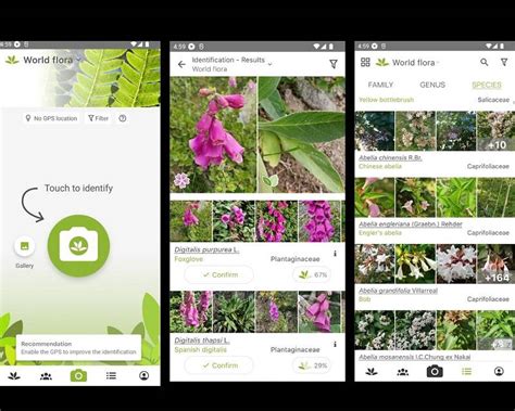 9 Best Plant Identification Apps Of 2023 Plantora