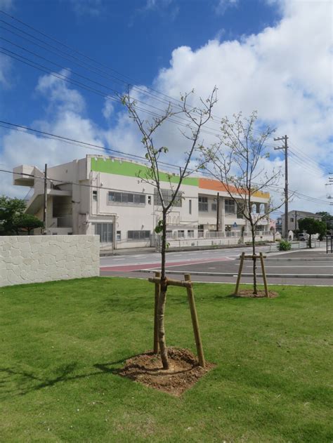 令和7年度第75回沖縄県植樹祭を開催しました｜沖縄県公式ホームページ