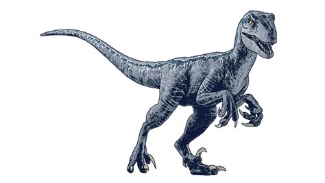 Velociraptor Blue Jurassic World Png At Shawn Keim Blog