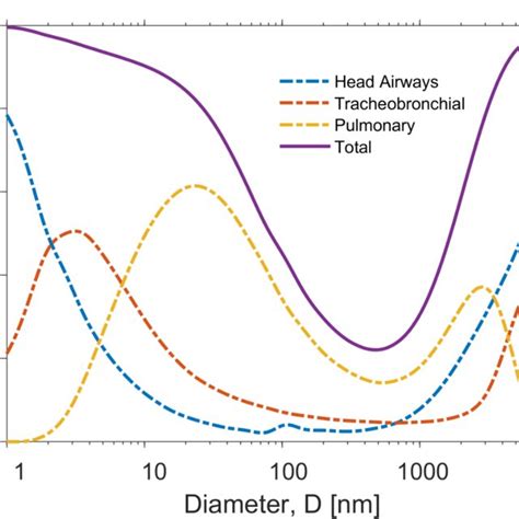 Size Resolved Particle Deposition Fractions In The Human Respiratory Download Scientific
