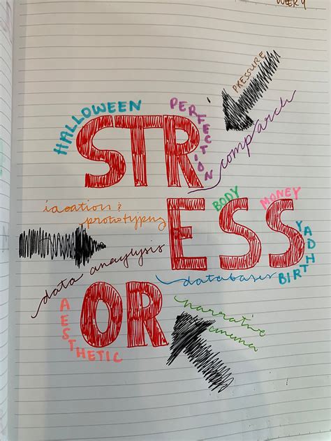 Notebook Entry 4