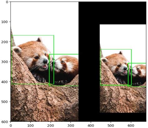 Learn To Augment Images And Multiple Bounding Boxes For Deep Learning