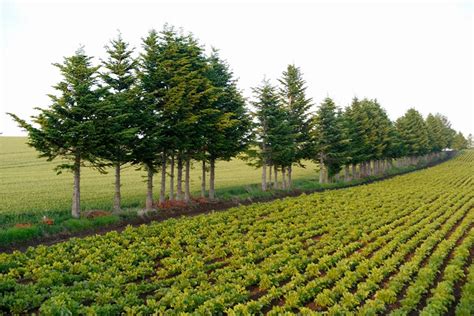 Causes And Effects Of Soil Erosion Green Coast