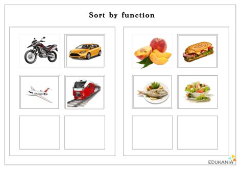 Objects Function Sorting By Function For Beginners