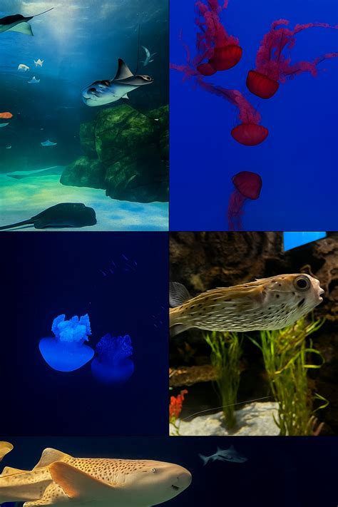 Underwater World
