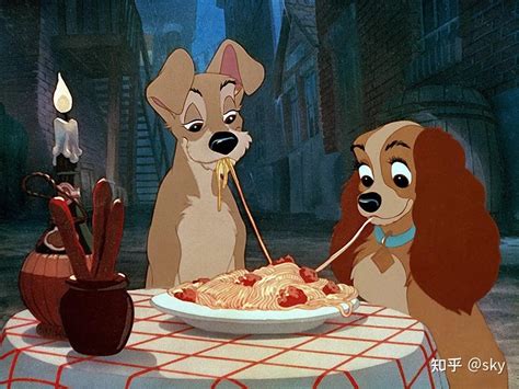 小姐与流浪汉 观后感 知乎