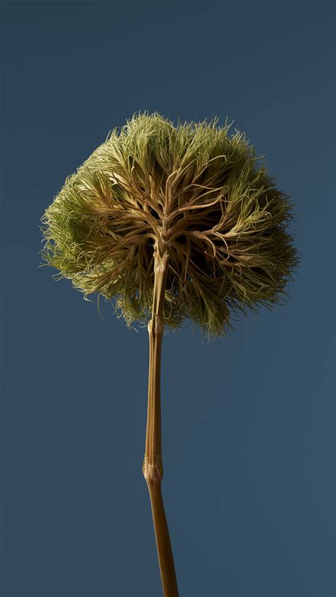 Hyperos Stock Wallpaper 25