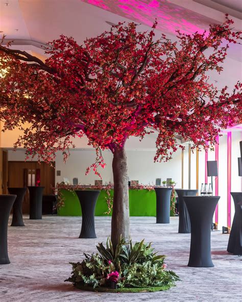 An Event Tree For Every Occasion Wisteria Oak White Blossom Cherry