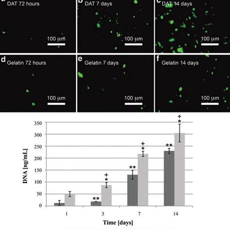 Total Dsdna Content Measured Using The Picogreen Ò Assay On Dat