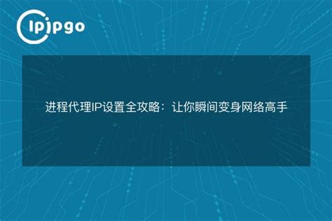 进程代理ip设置全攻略：让你瞬间变身网络高手 Ipipgo