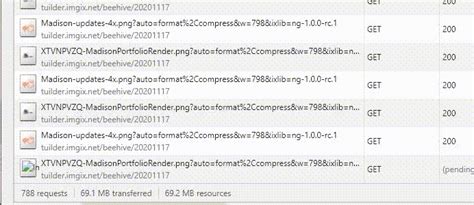 Infinite Loading Loop NgAfterViewChecked In SetSrcAndSrcsetAttributes Issue Imgix