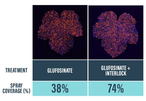 Interlock® Adjuvant Deposition And Drift Aid Winfield® United