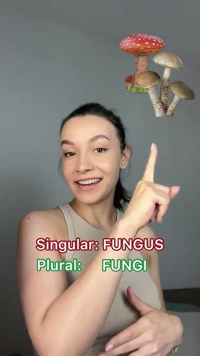 Plural Form Part 1 I Cactus 🌵 Fungus 🍄 Campus 🏫 Octopus 🐙 Youtube