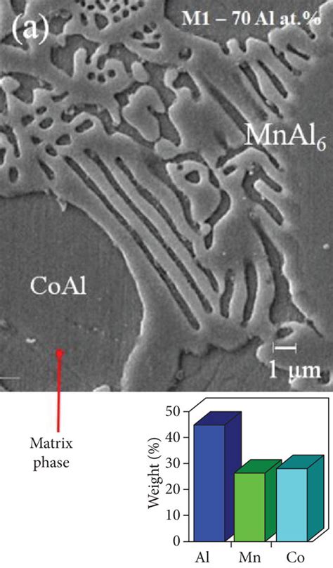 Sem And Eds Analysis In The Matrix And Second Phase For The M1 And M4 Download Scientific