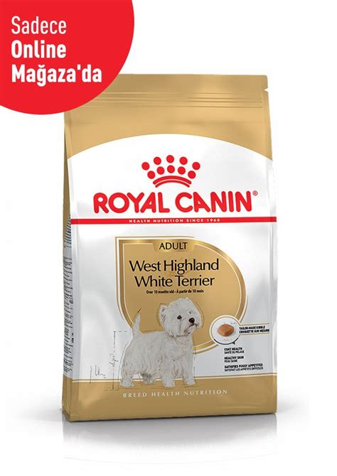 West Highland White Terrier Adult Royal Canin Turkey