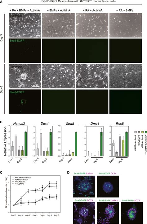 Focus On Online Journals Sciencedirect Elsevier The