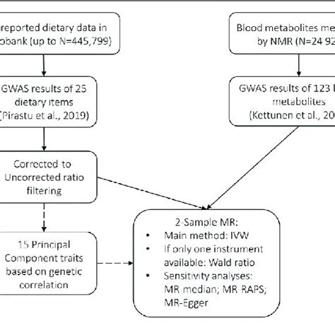 Selection Of Instrumental Variables And Workflow Download Scientific Diagram