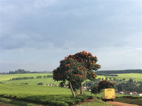 Cha čaji Home Ljubljana Slovenia Menu Prices Restaurant Reviews Facebook