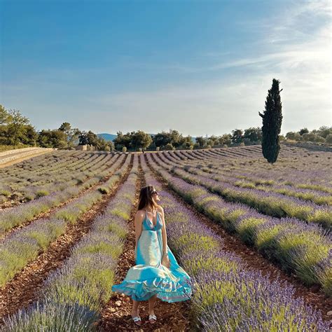 Daniela Prepeliuc Daniela Prepeliuc Présentatrice