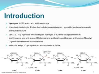 Lysozyme Pptx
