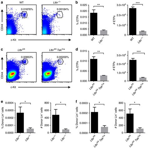 Endothelial Ltβr Is Required For Thymic Progenitor Cell Homing Ab