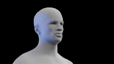 3d Human Anatomy Black Male Body Model Turbosquid 2027147