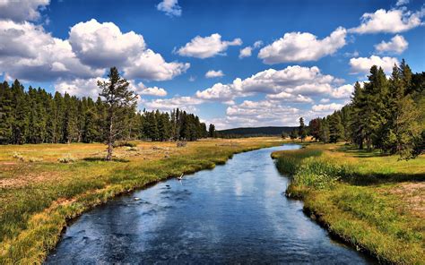 The Beautiful Grassland Mac Wallpaper Download Allmacwallpaper