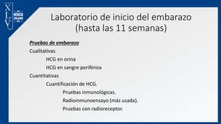 Laboratorio Y Embarazo Ppt